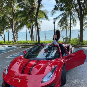 小雨爱查车 