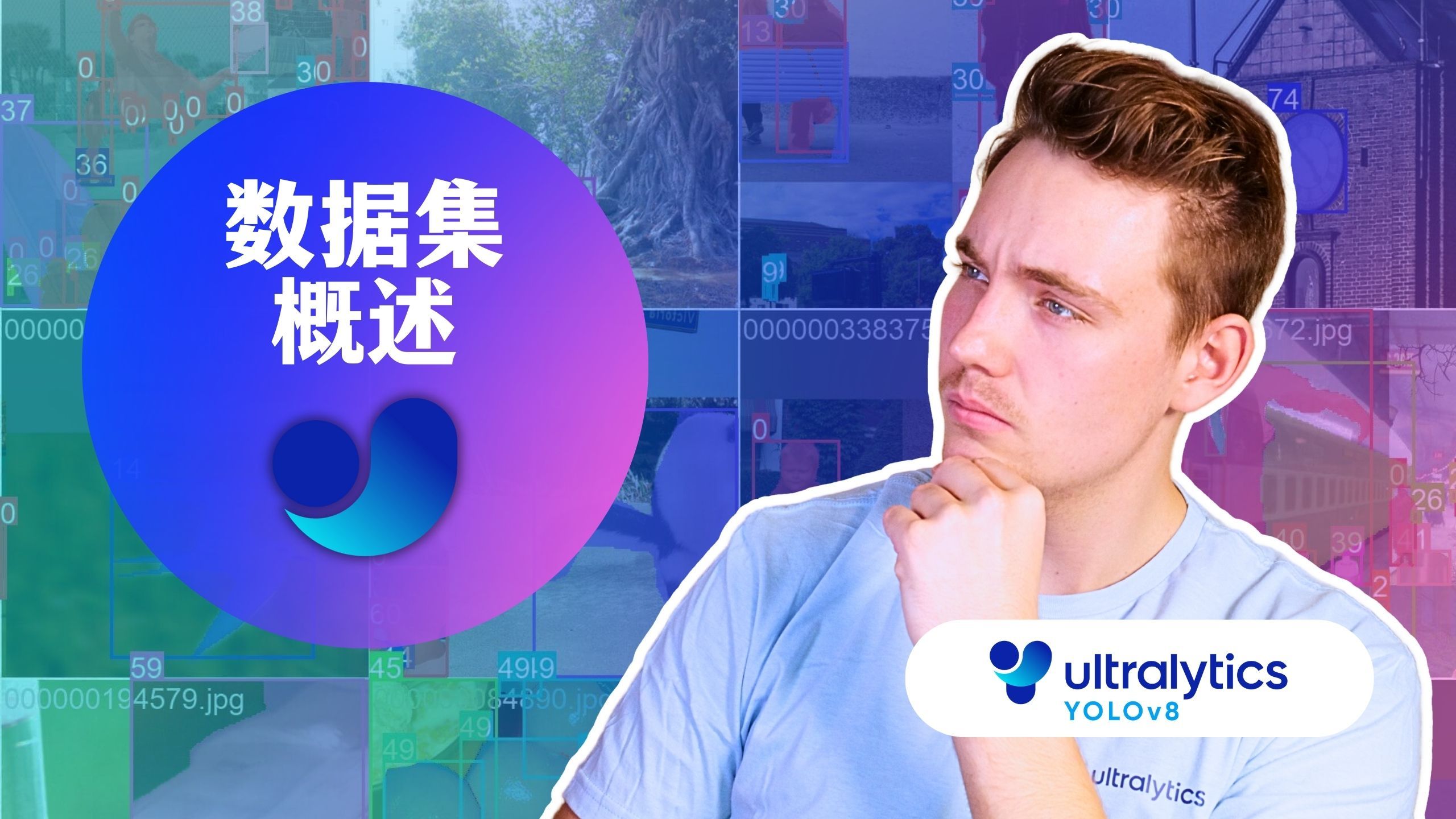 第35集 | Ultralytics 数据集概述