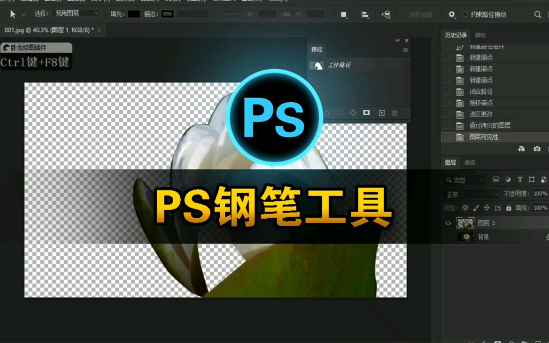 ps钢笔工具操作技巧,最专业的抠图工具之一