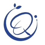 什么都爱玩的小青团 