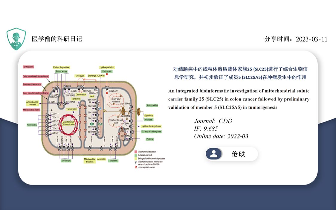 对线粒体溶质载体家族25(SLC25)在结肠癌中的综合生物信息学调查,并...