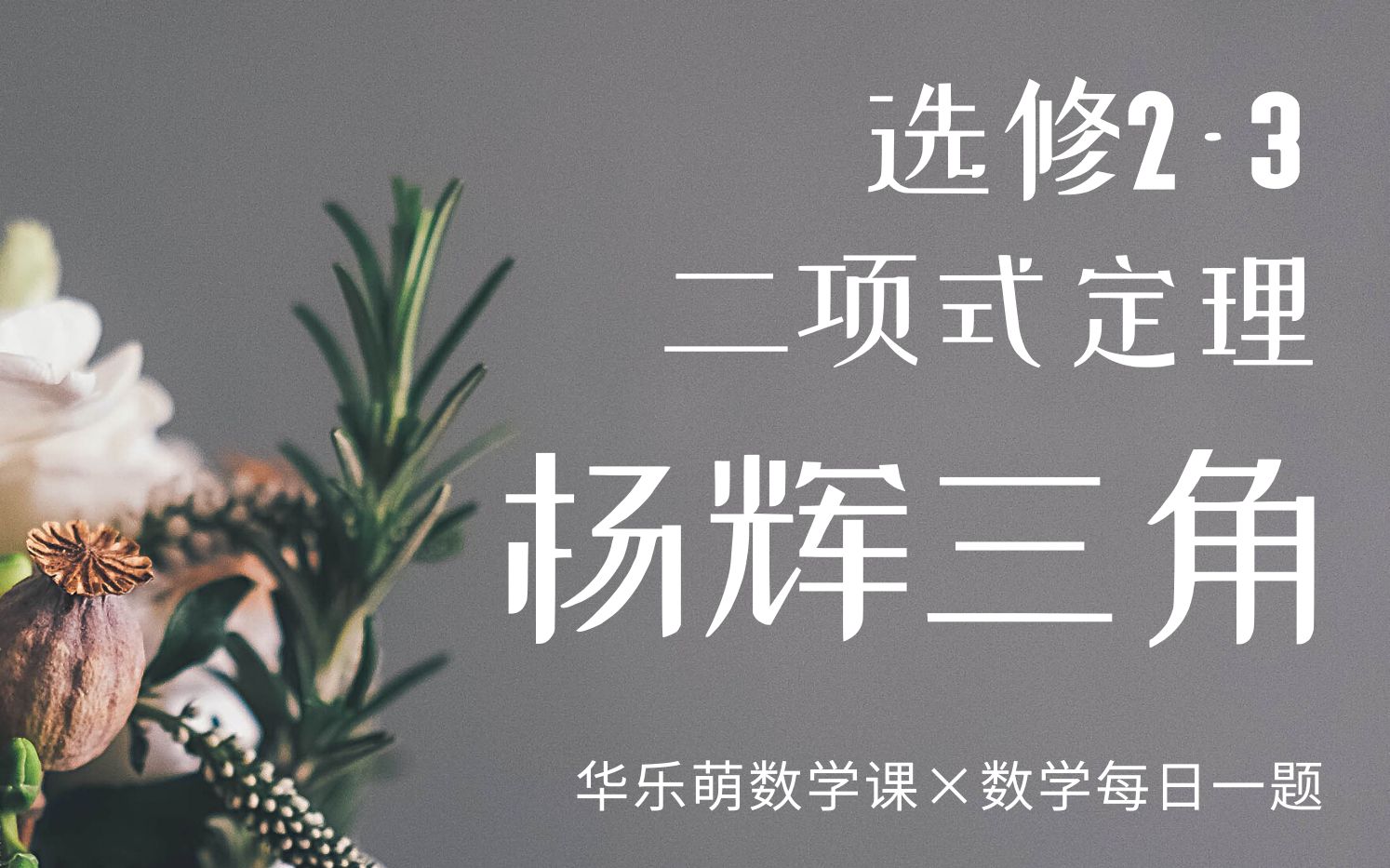 【第367题】选修2-3/二项式定理/杨辉三角