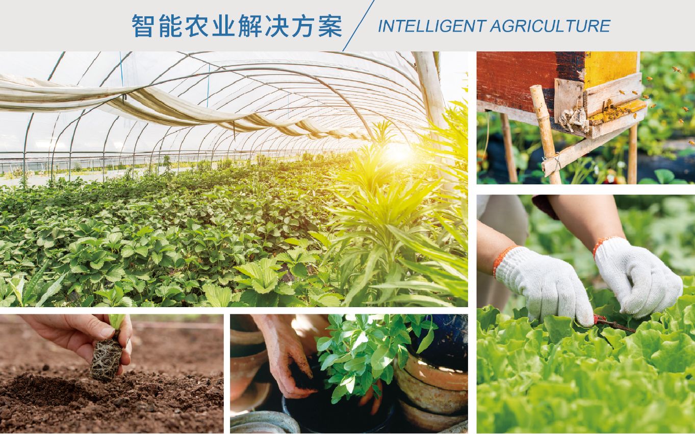 建大仁科 · 山东仁科测控 RS-WS/GZ/CO2/PH/TR 智慧农业智能传感器