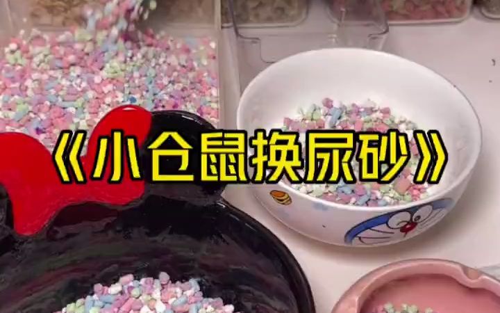 小仓鼠换厕所时间到 好好看的尿砂呀～