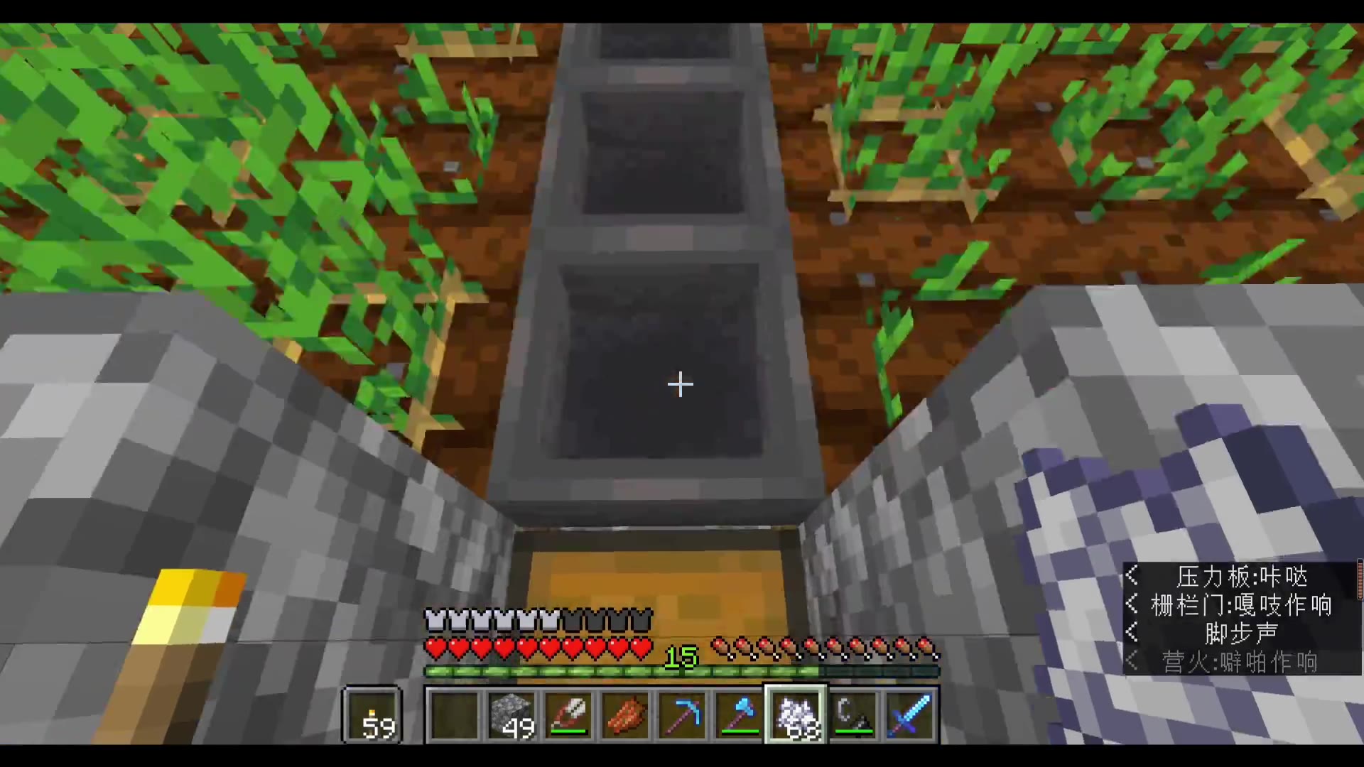 【我的世界】种田一次,爽快一年