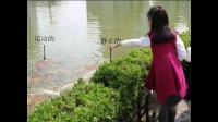 三年级科学下册-1运动与位置