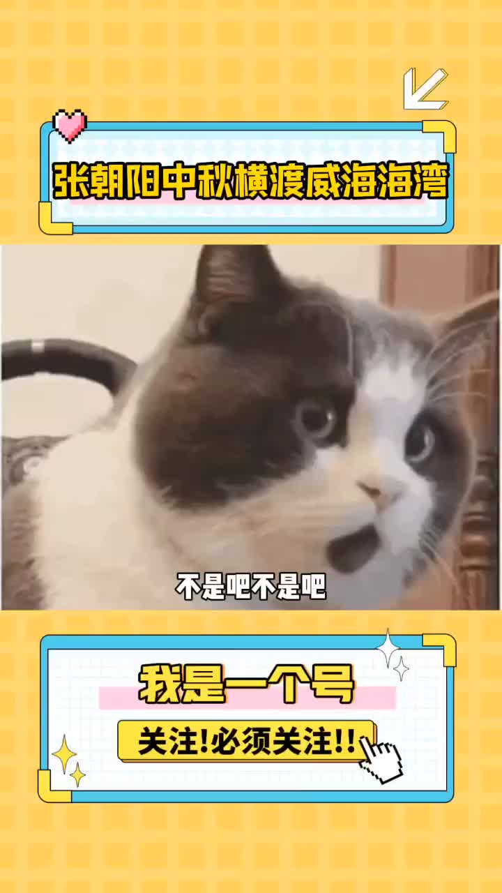 ...海湾 好牛的体能和运动技能,张朝阳真硬核打call了#张朝阳的运动课