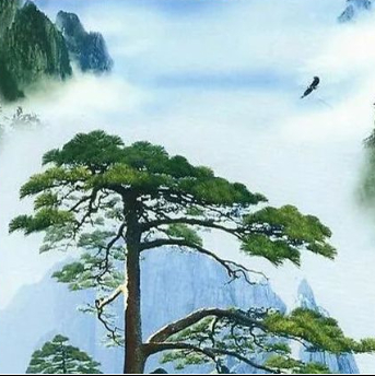 六月雪毕设网 