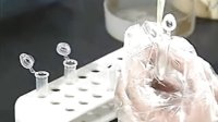 质粒DNA提取