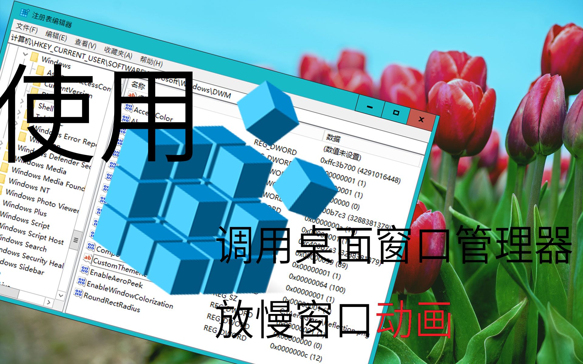 【教程】如何使用注册表编辑器来放慢窗口动画?(Windows Vista 以上...