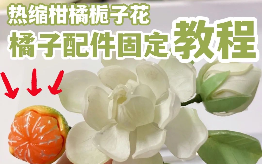热缩柑橘栀子花|橘子配件固定教程