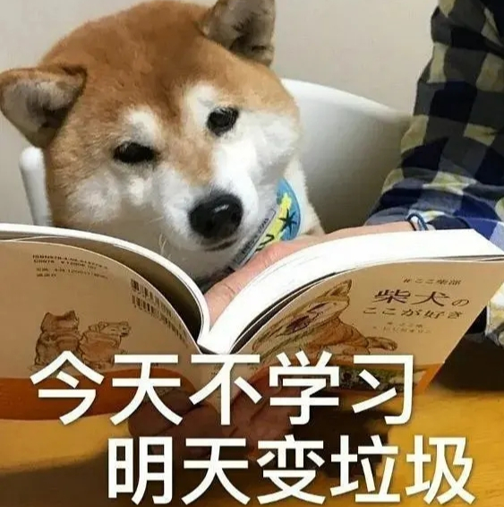 高职高考语文小明老师 