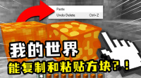 我的世界:玩家能复制粘贴方块?还能生成乱码道具,效果强的离谱