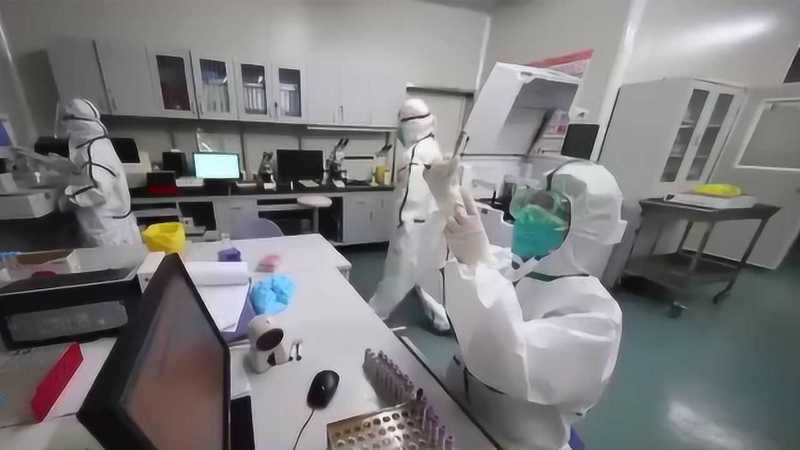 山东新冠病毒核酸检测价格确定5月1日起施行