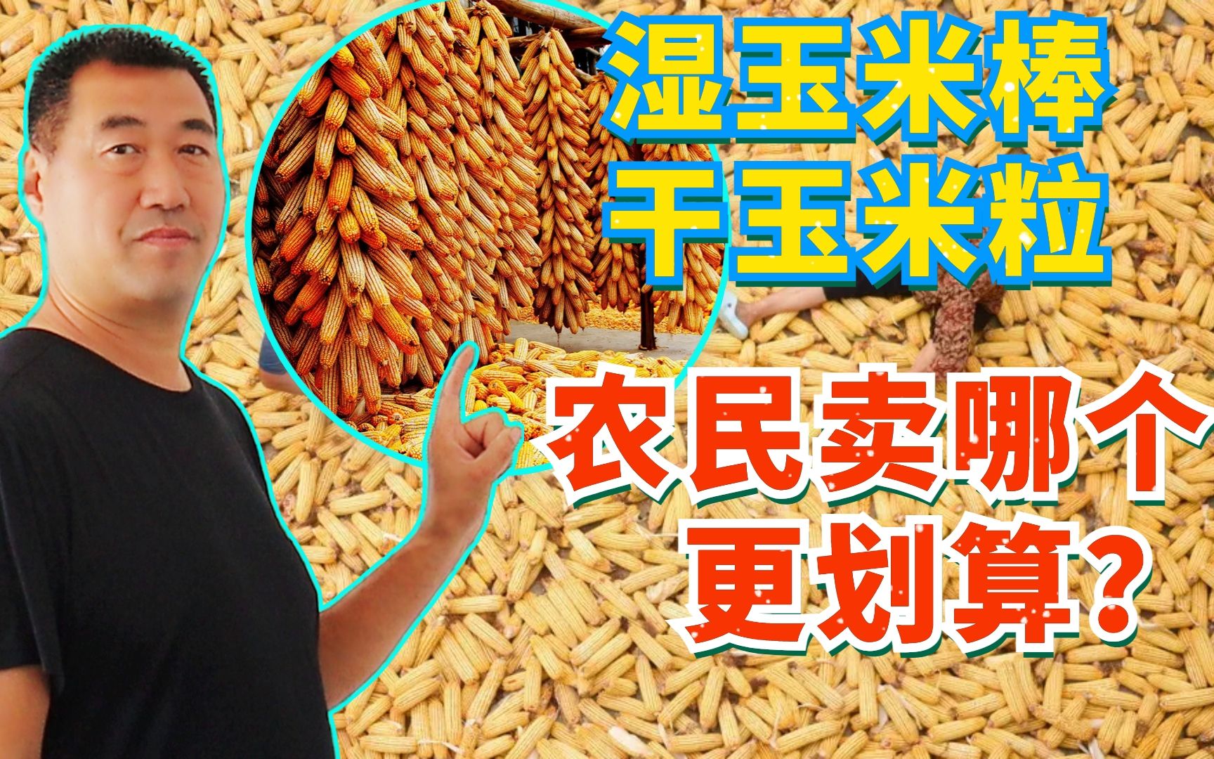 农民卖湿玉米棒子和干玉米粒,哪个更划算?终于有答案了!