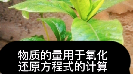 物质的量与氧化还原反应相关计算高一高二高三化学