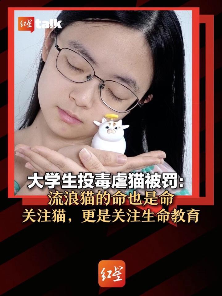 红星talk·有话说|大学生投毒虐猫被罚:流浪猫的命也是命,关注猫更是...