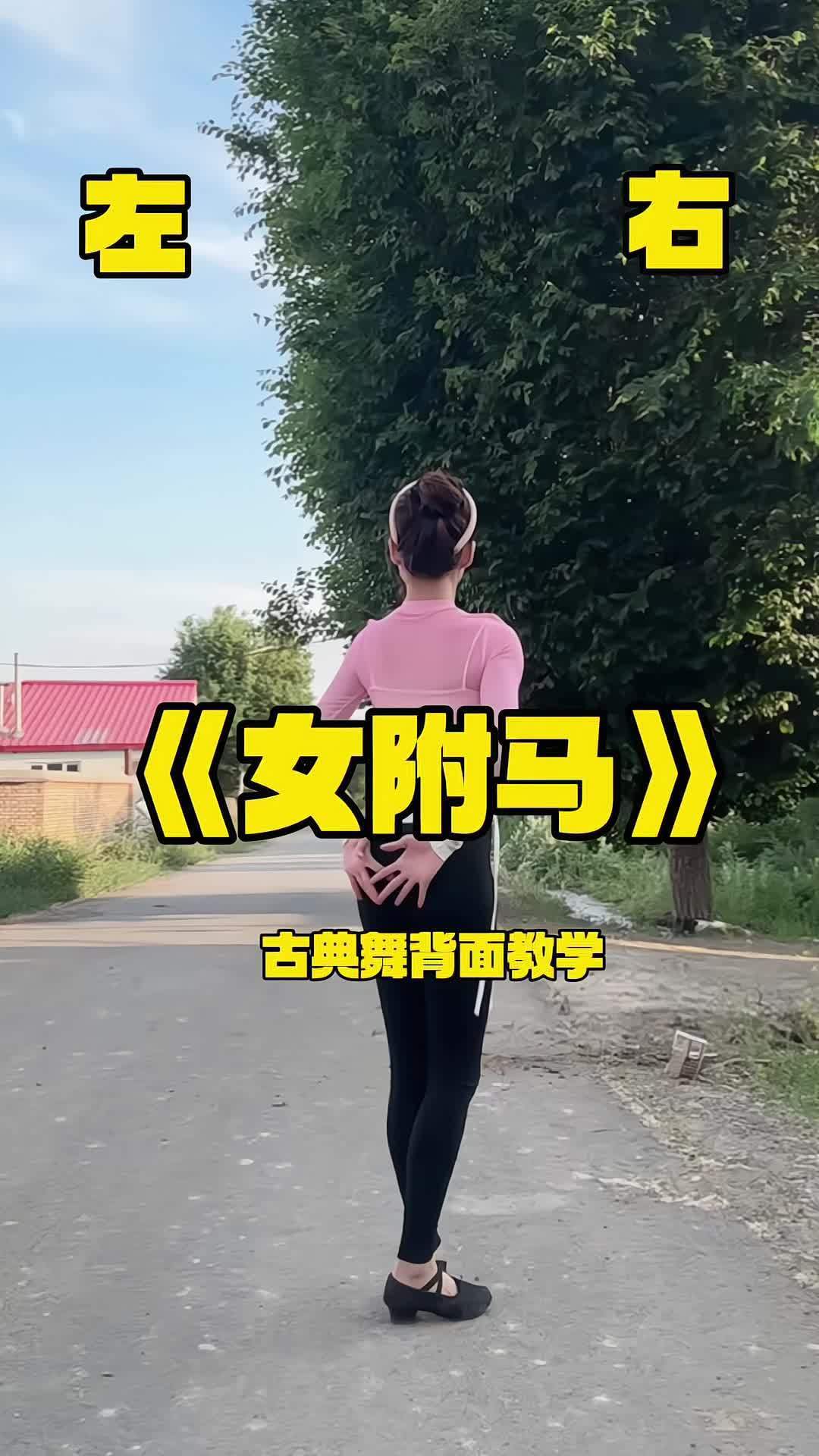 《女驸马》背面教学中老年舞蹈古典舞零基础舞蹈