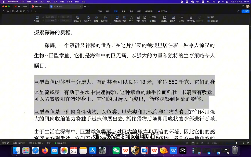 WPS office段落样式在哪设置?