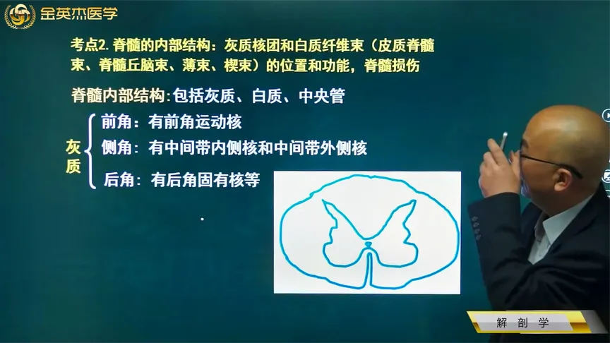 中枢神经系统01脊髓02脊髓内部结构组成;灰质:前角、侧角、后角