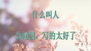 什么叫人生规划,写的太好了