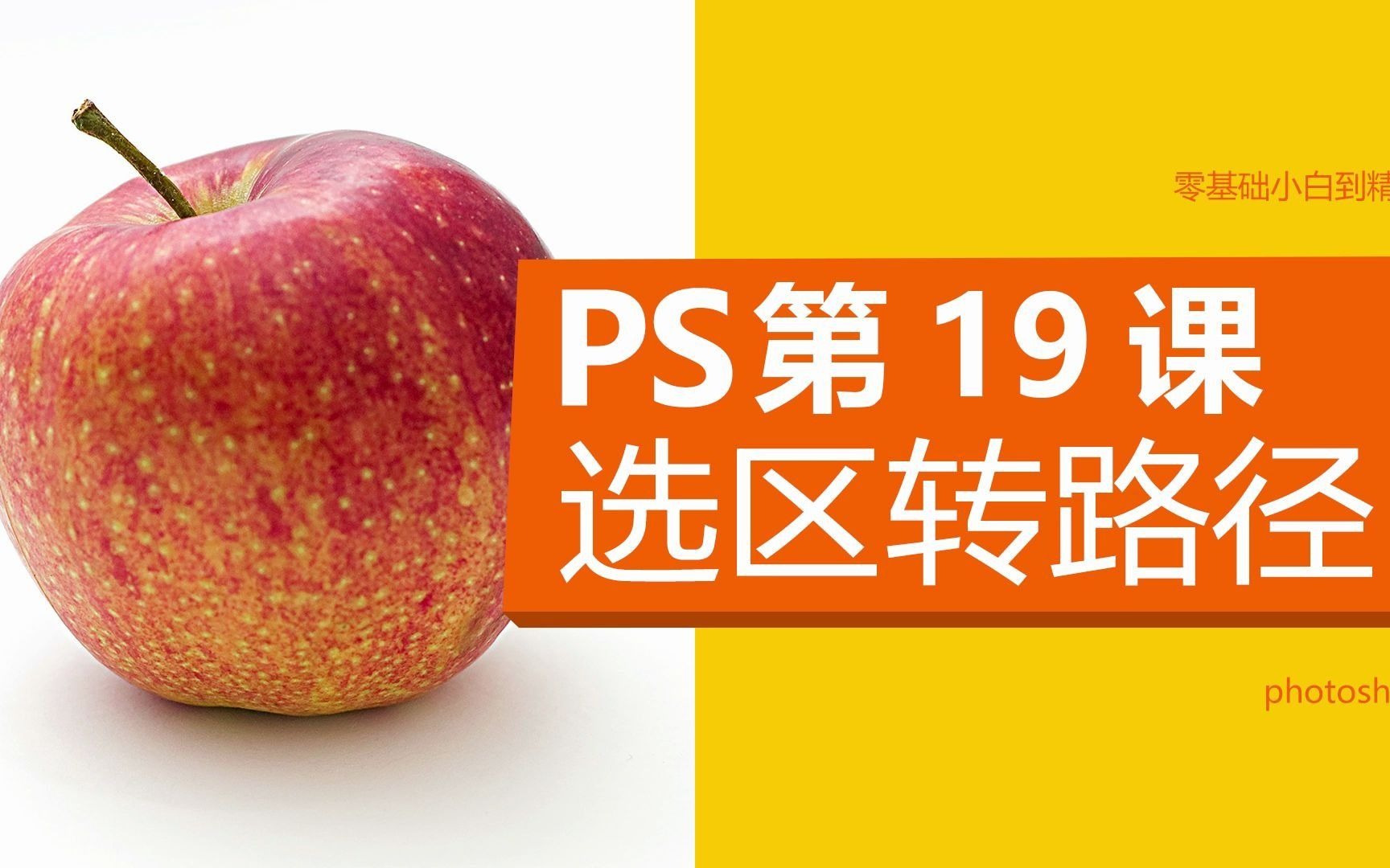 PS零基础系统课,第19课钢笔工具,如何把选区变成形状调整