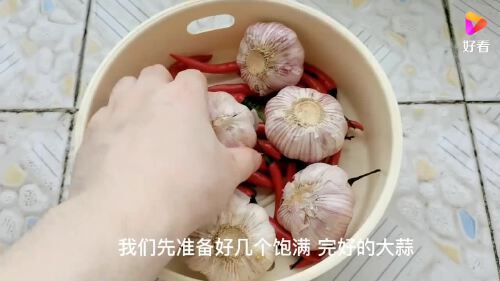 零失败!在家水培蒜苗全攻略,7天吃上自己种的绿色蔬菜