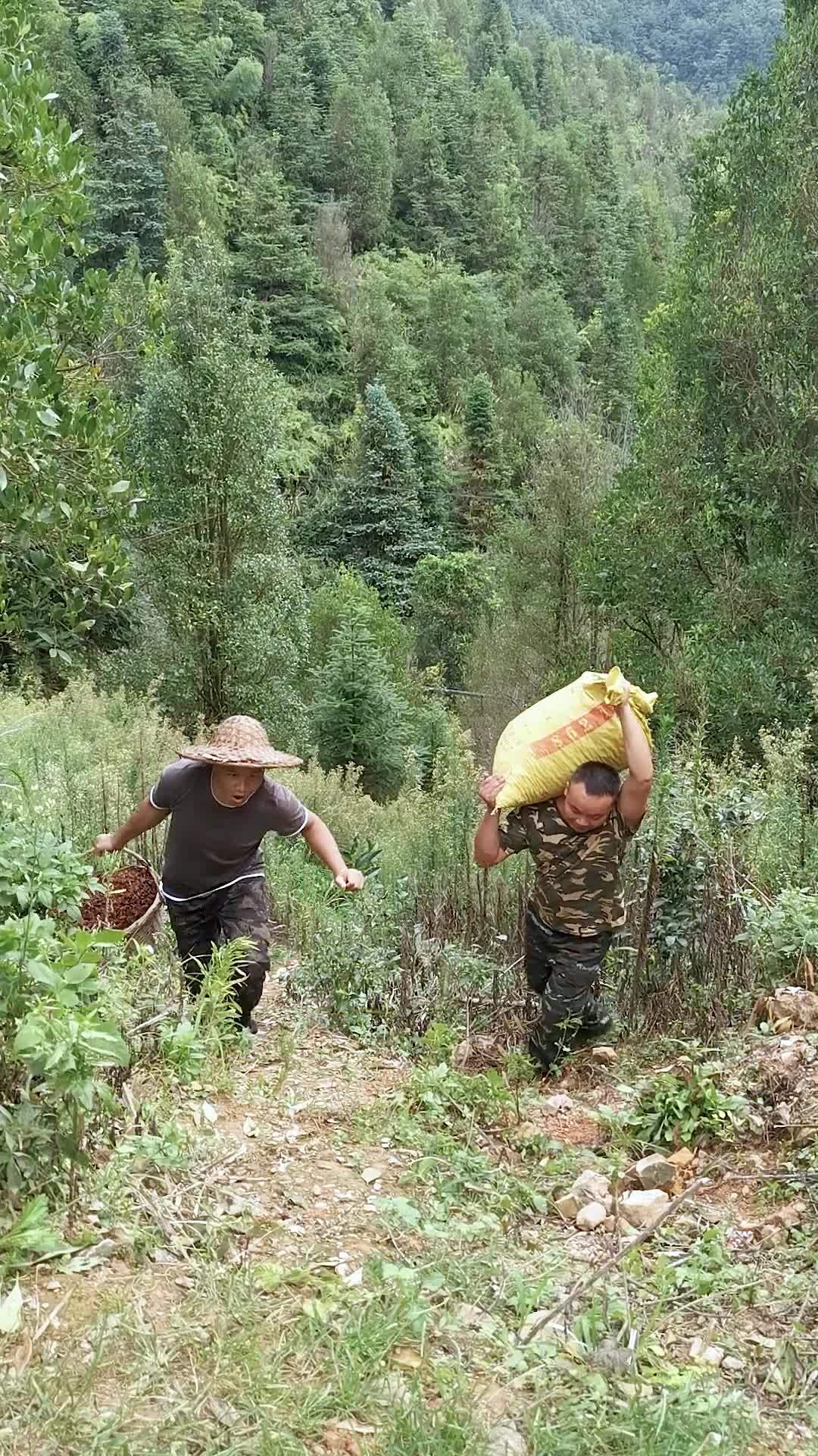 千万别在买错了!买八角一定要买这种足干无硫的!