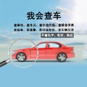 我会查车 
