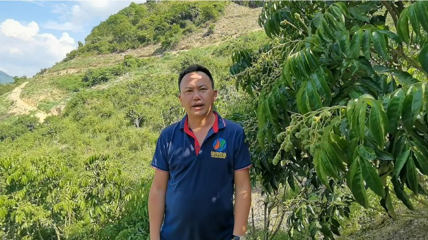 黄皮“浩伟方”种植技术分享