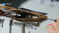 什么是有核珍珠和无核珍珠？给蚌做手术，太厉害了！