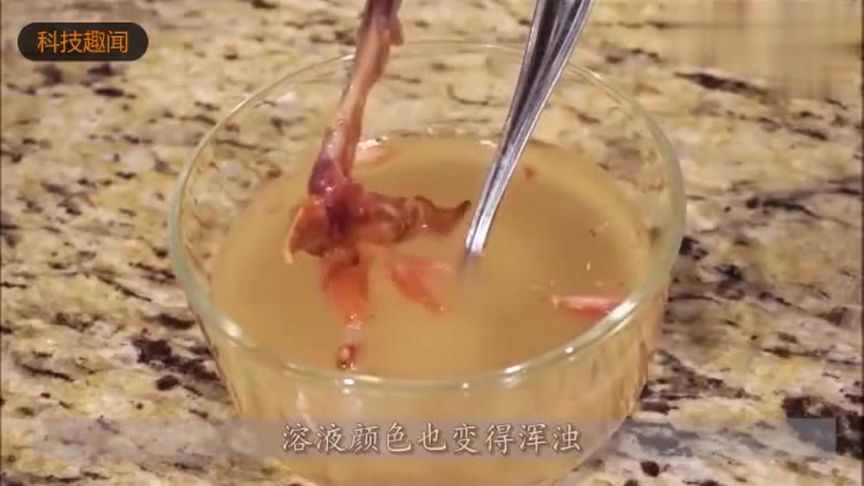老外实验盐酸与氢氧化钠哪个更厉害用可乐罐试试,结果好吓人