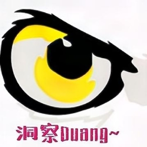 洞察-duang 