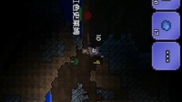 泰拉瑞亚生存,修改器在后面,本期最强高能!