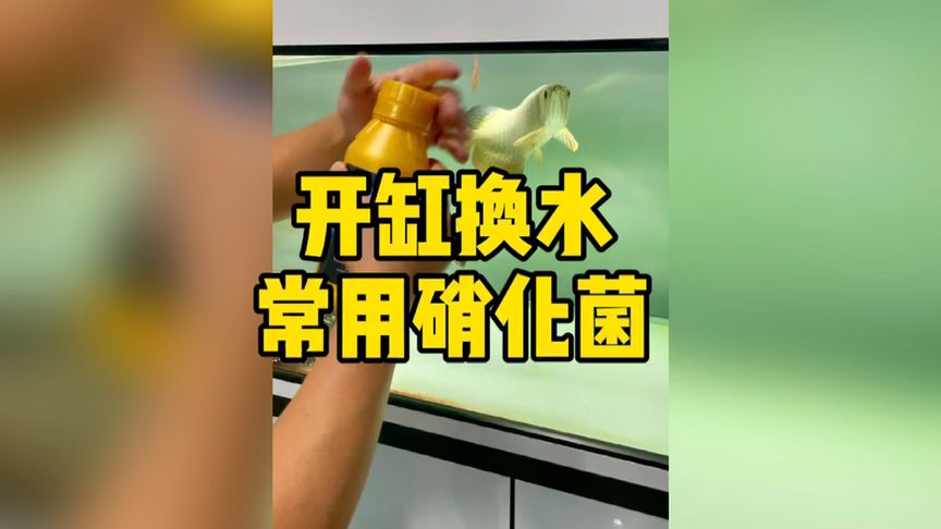 开缸换水常用硝化菌,鱼缸硝化菌原液