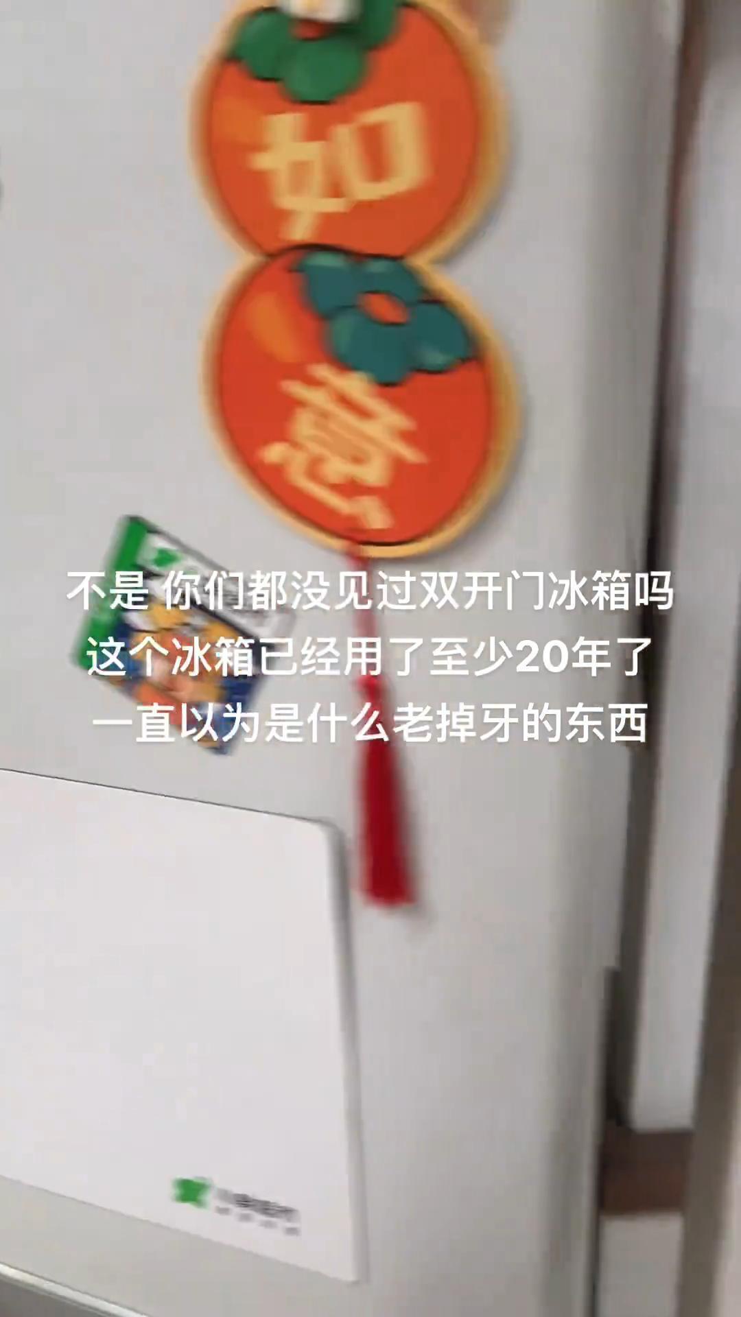 网友家的双开门冰箱,令人大开眼界,用了20多年了