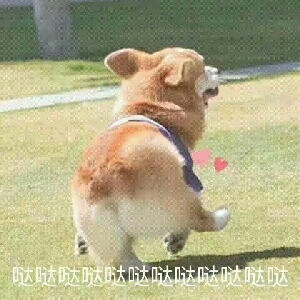 一条咸鱼狗子 