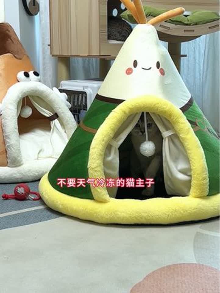 ...给毛孩子安排个保暖加厚猫窝吧#猫咪 #天冷床上长猫了 #萌宠出道计划