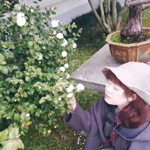 大橙子在写写画画 