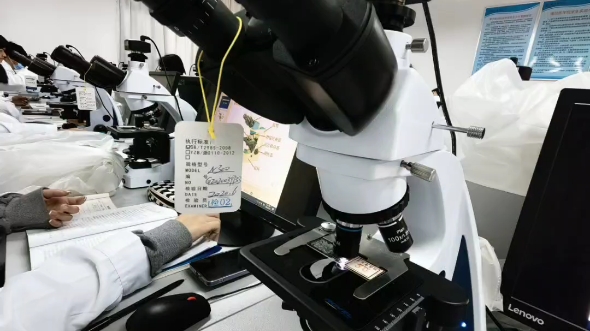 组胚实验的上皮组织观察呀——看看显微镜下的奇妙世界(˵¯͒〰¯...