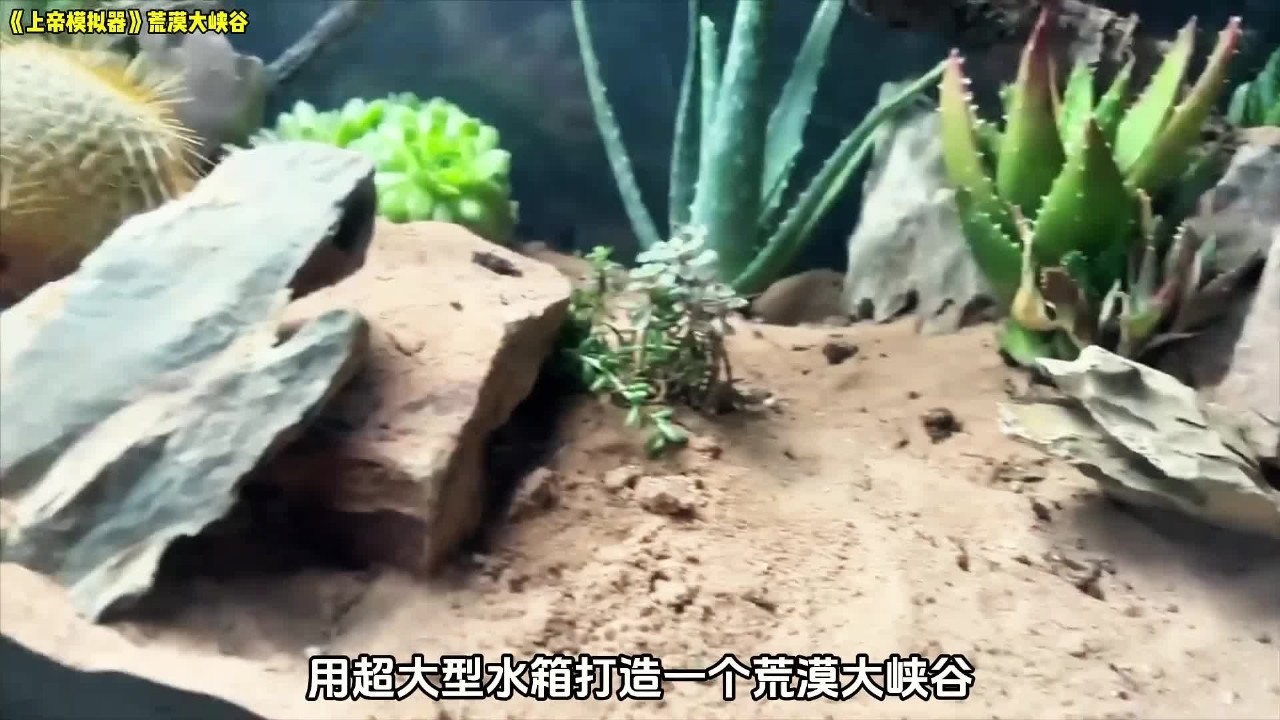 全新上帝模拟器:荒野大裂谷365天生态演变之旅