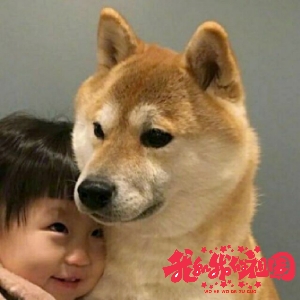 才子周周 