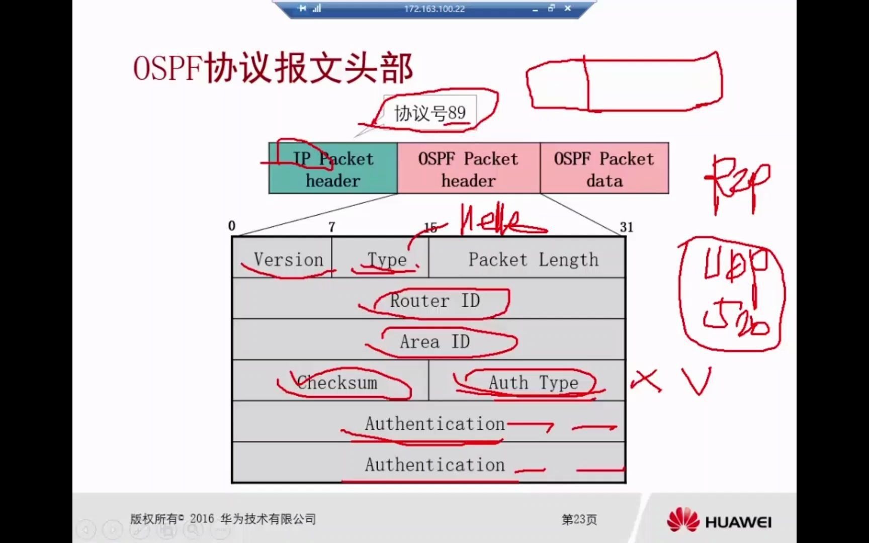 02-OSPF协议基础-报文类型及状态机