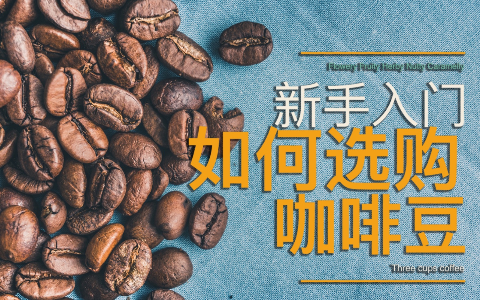 新手入门如何选购咖啡豆