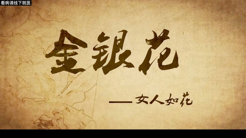 《巧说本草》金银花,金银花的作用与功效,金银花茶