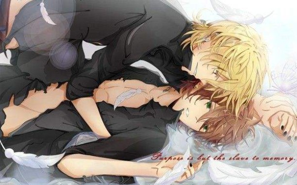 [双男主番剧]有谁看过这部动漫呢,我磕的冷cp,来举手报名吧