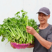 雨露园艺