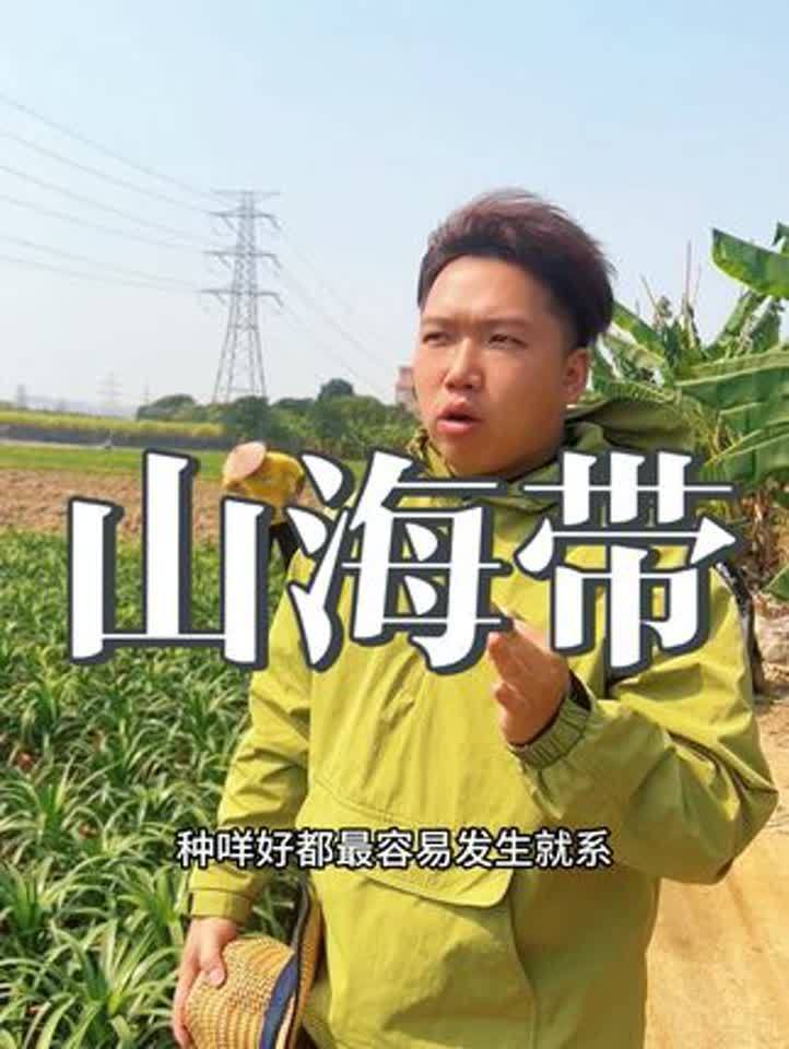 记录霍教授回访山海带!