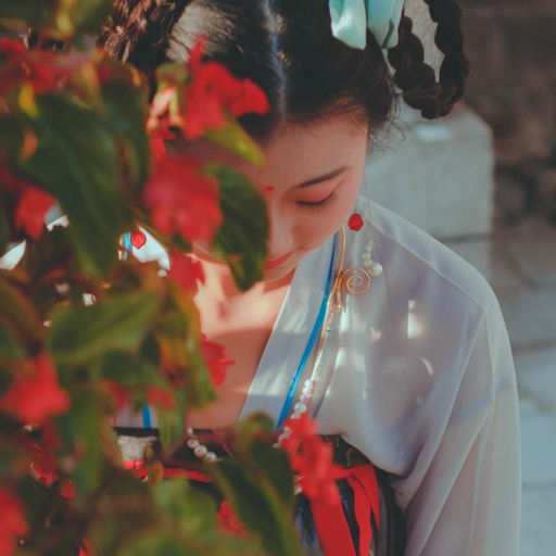 推衍历史的舟舟老师 