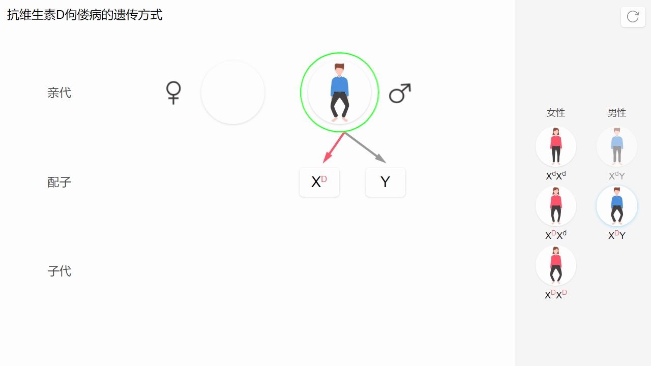 【生物】抗维生素D佝偻病的遗传方式